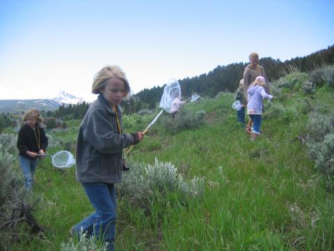The Children's Butterfly Site