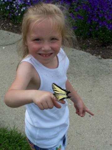 The Children's Butterfly Site